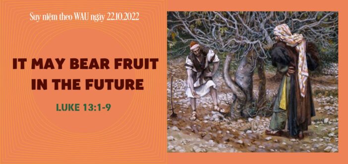 It may bear fruit in the future – Suy niệm theo WAU ngày 22.10.2022