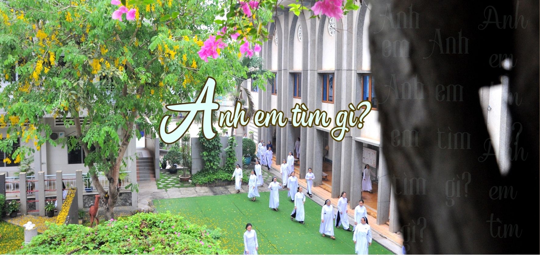 Anh em tìm gì?