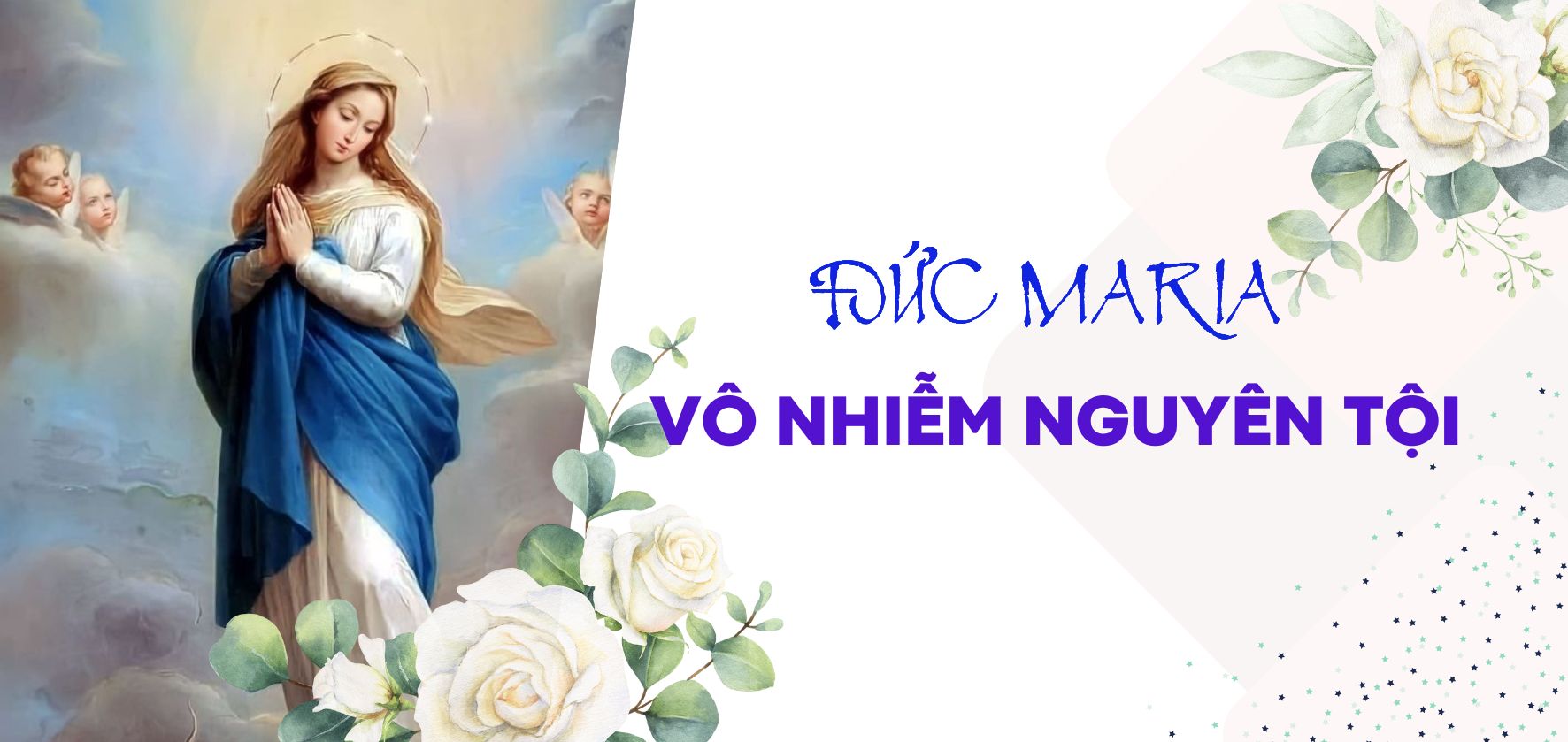 Đức Maria Vô Nhiễm Nguyên Tội